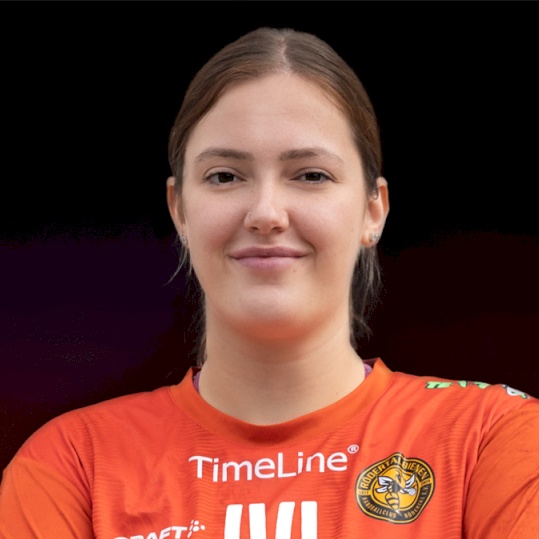 Handball Bundesliga Frauen